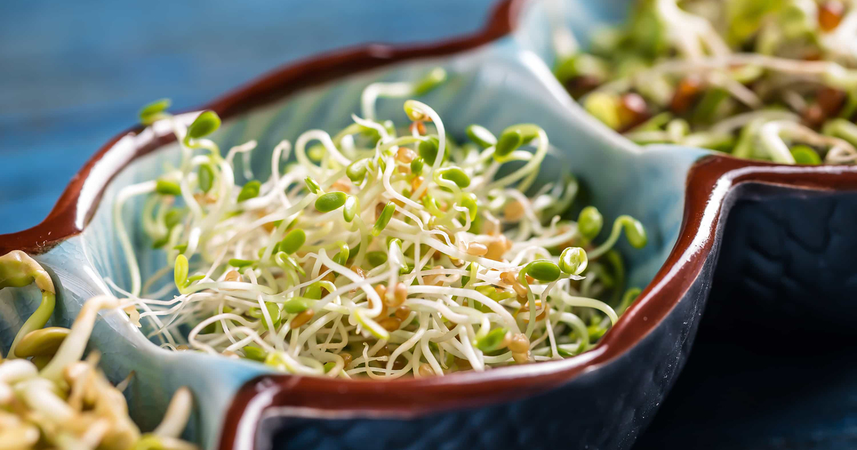7 Healthy Types Of Bean Sprouts