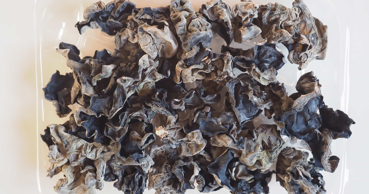 Hongo negro: Nutrientes, beneficios y precauciones