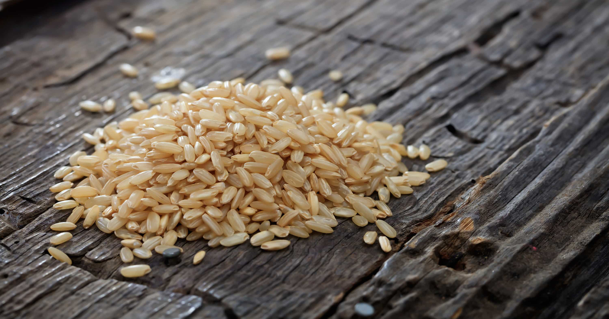 Le riz brun est-il bon pour la santé ? Nutrition, bienfaits, et plus encore