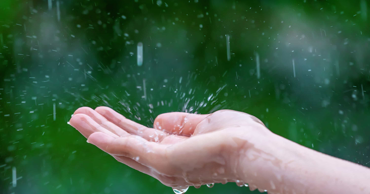 Can You Drink Rainwater Safely? What You Need to Know