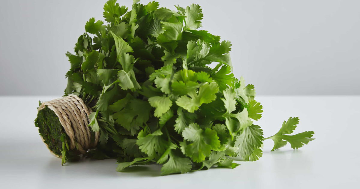 7 Clever Substitutes for Coriander Seeds and Cilantro Leaves