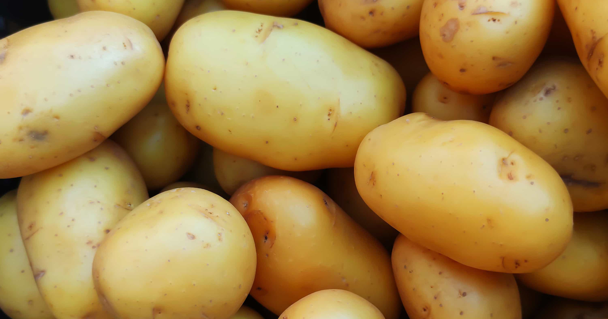 15 Healthy and Incredibly Filling Foods to Fight Hunger