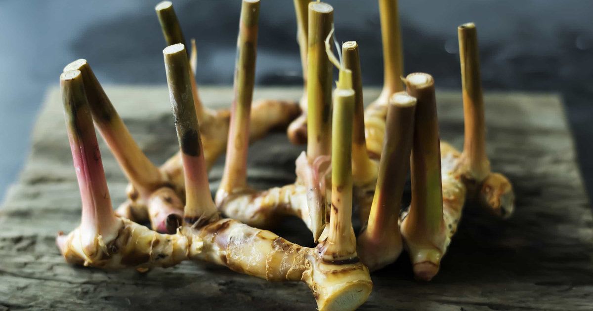 Galangal Root: Health Benefits, Risks, and Overview