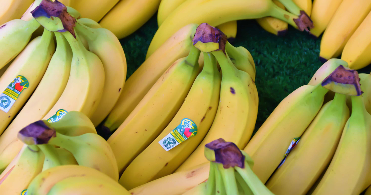 11 bienfaits des bananes pour la santé fondés sur des preuves