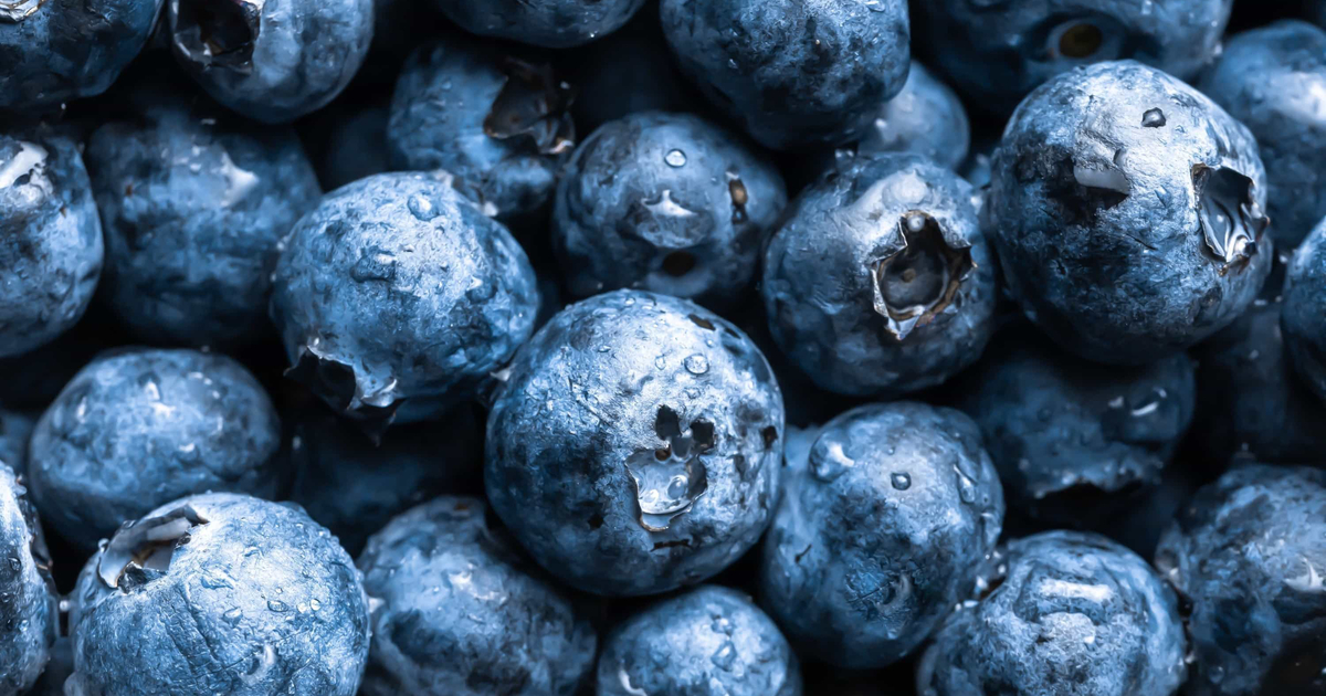 10 Proven Health Benefits of Blueberries for Better Health