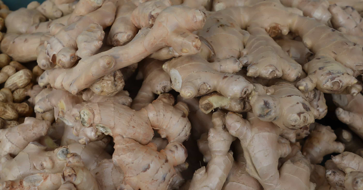 11 Health Benefits of Ginger: Effects on Nausea, Brain & More