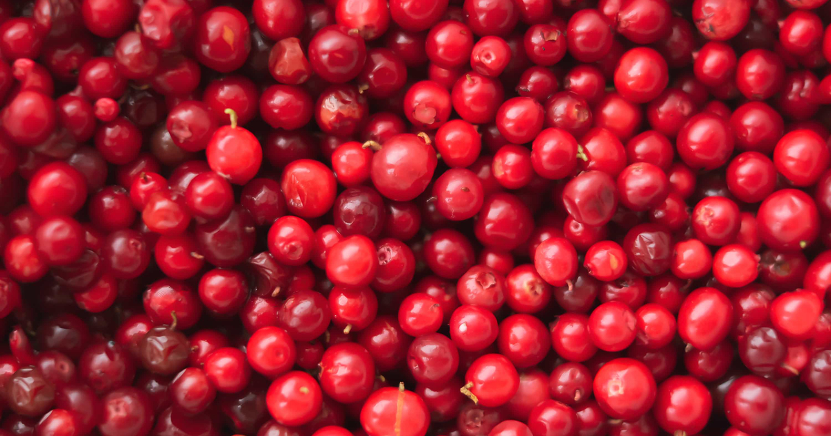 14 Science-Backed Health Benefits of Lingonberries