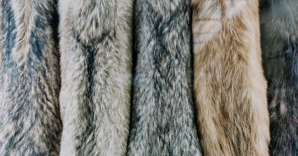 How to Wash Faux Fur | Care and Cleaning Tips