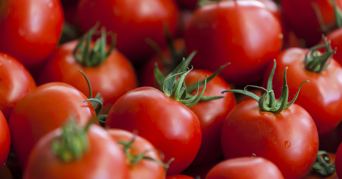Is a Tomato a Fruit or Vegetable? Key Differences Explained