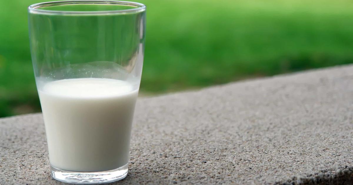 Lactose-free milk: How does it differ from regular milk? Lactose-free milk: How does it differ from regular milk?
