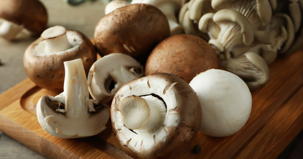 Can You Eat Mushrooms During Pregnancy? Safety & Benefits