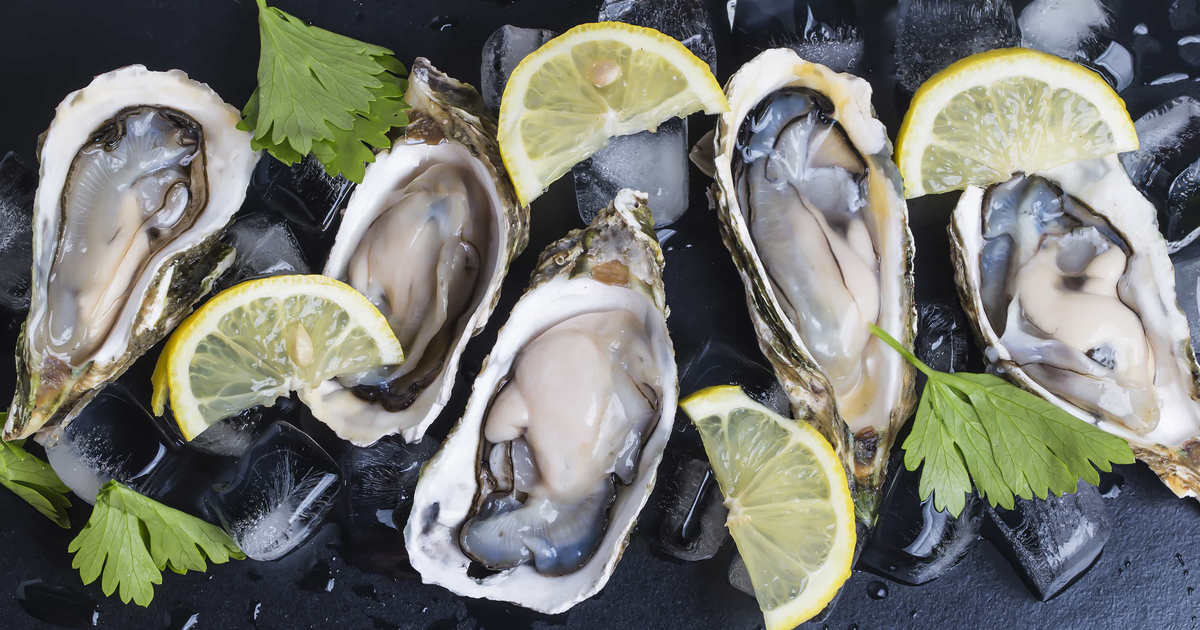 Ostras: Benefícios, dicas de segurança e técnicas de cozimento