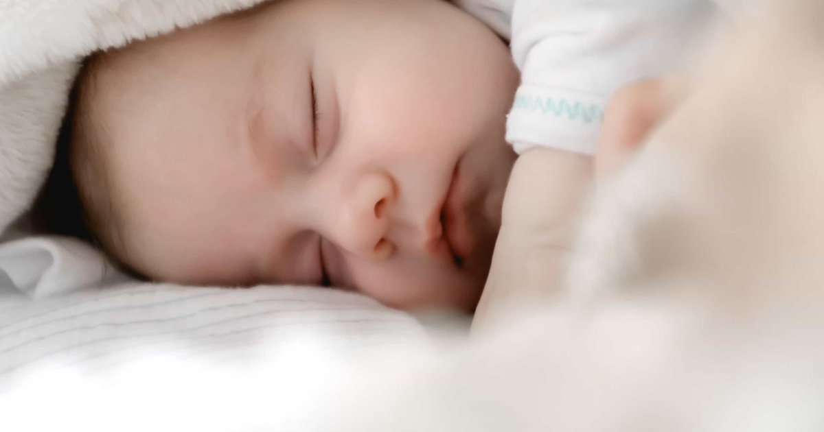 Susu Formula & Makanan Bayi Vegan Terbaik